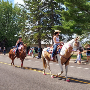 Central St. Louis County Fair – Meadowlands · Minnesota